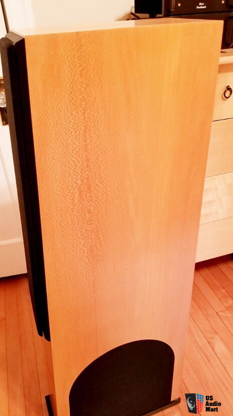 Red Rose Classic Ribbon Speakers in beautiful French Sycamore Photo ...