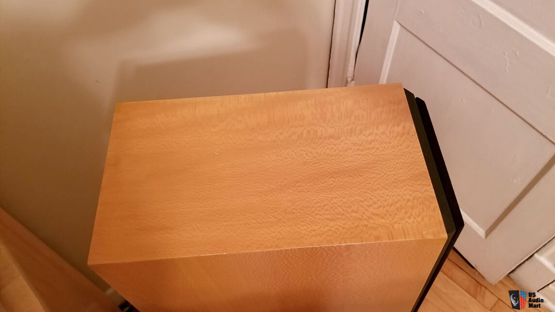 Red Rose Classic Ribbon Speakers in beautiful French Sycamore Photo ...