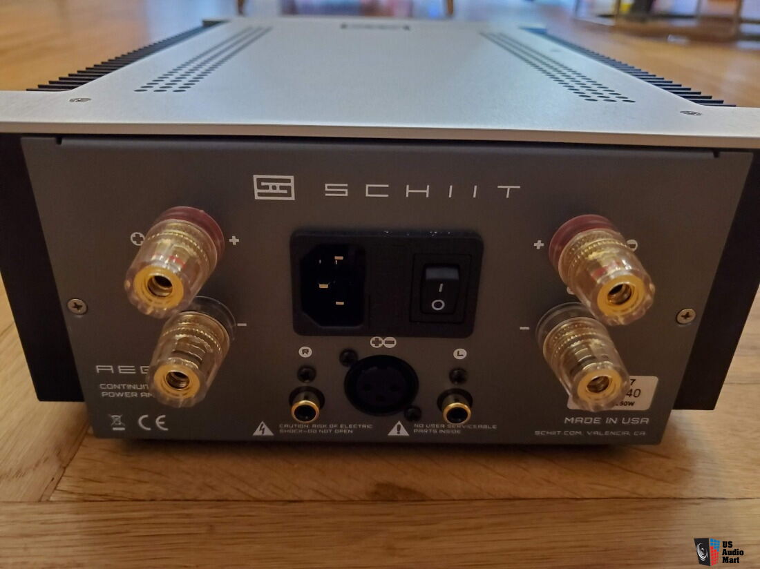 Schiit Audio Aegir Power Amplifier Photo #2370251 - US Audio Mart