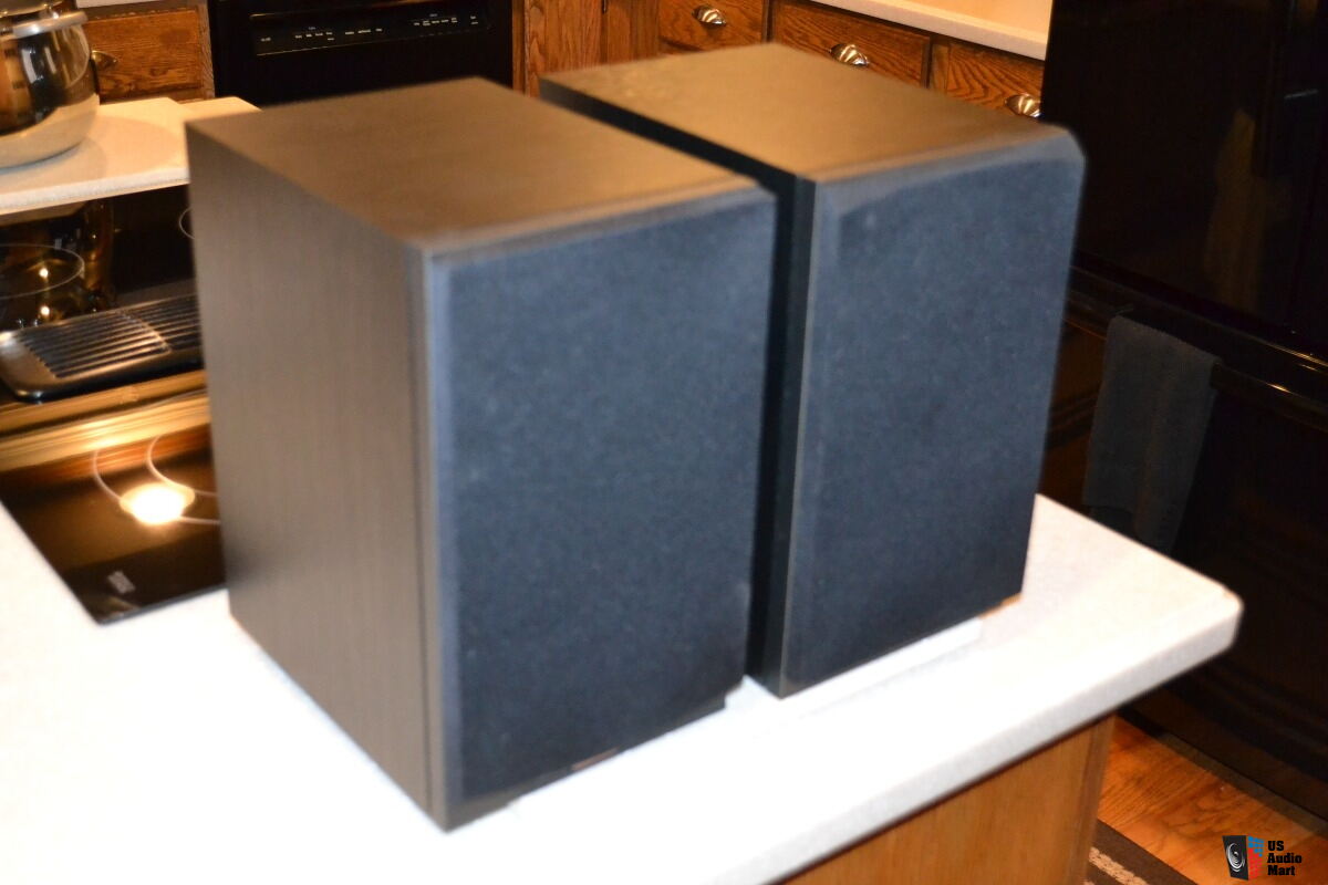 Dynaudio Audience 40 Photo 2374302 US Audio Mart dynaudio-audience-40-photo-2374302-us-audio-mart