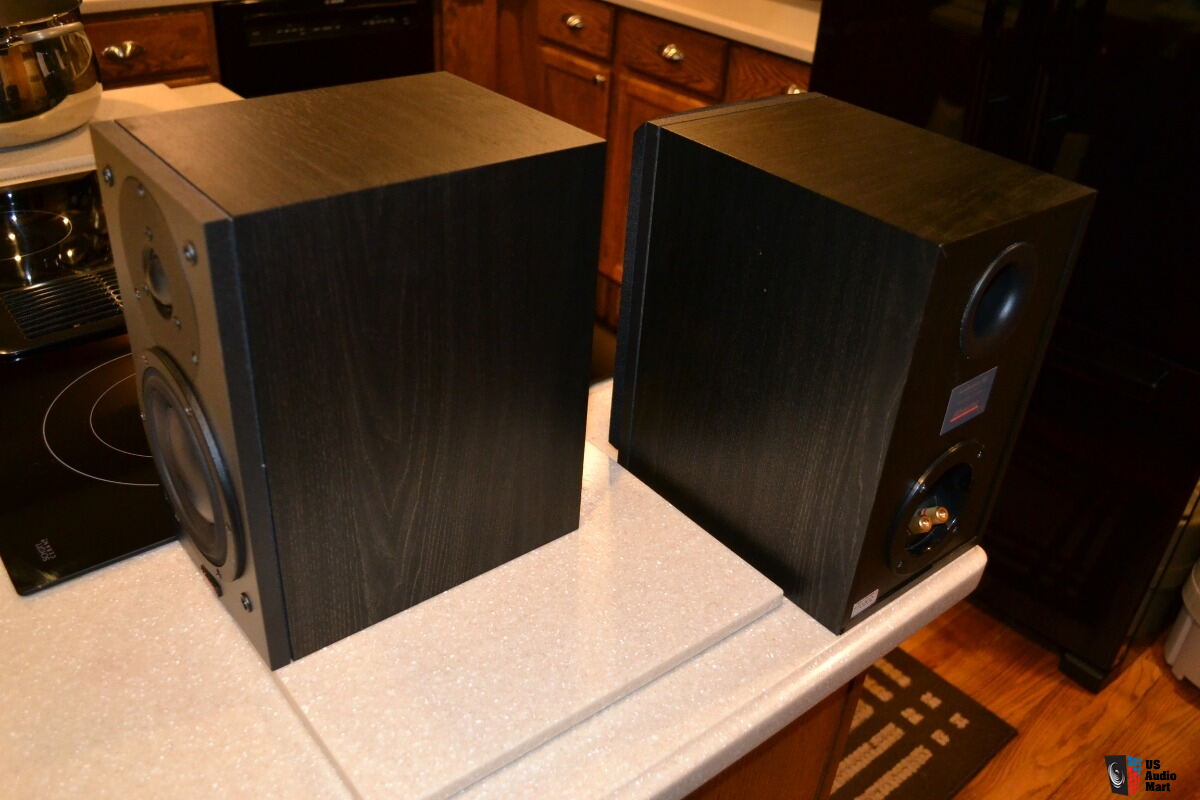 Dynaudio Audience 40 Photo 2374302 US Audio Mart dynaudio-audience-40-photo-2374302-us-audio-mart