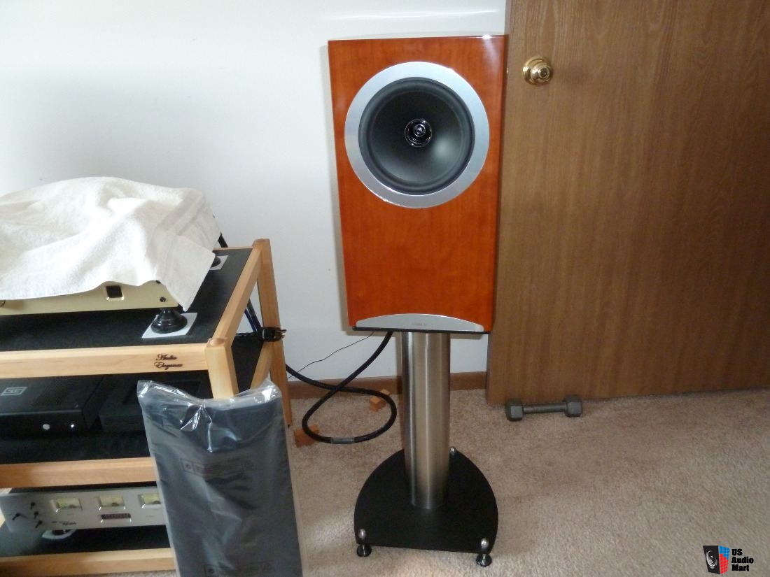 Tannoy Definition DC8 Monitors in High Gloss Cherry w/ Dedicated Stands ...