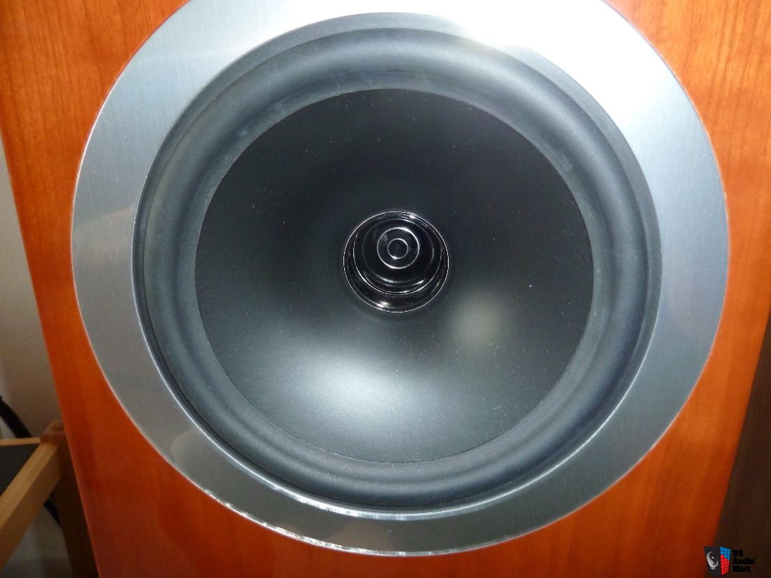 Tannoy Definition DC8 Monitors in High Gloss Cherry w/ Dedicated Stands ...