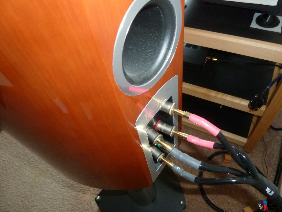 Tannoy Definition DC8 Monitors in High Gloss Cherry w/ Dedicated Stands ...