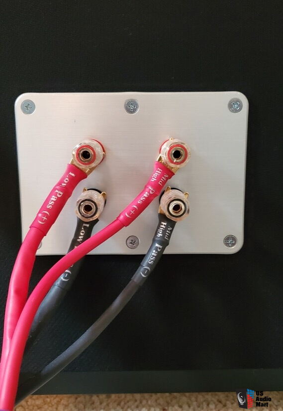 Apogee Acoustics Duetta Signature Ultimates Photo #2390181 - US Audio Mart