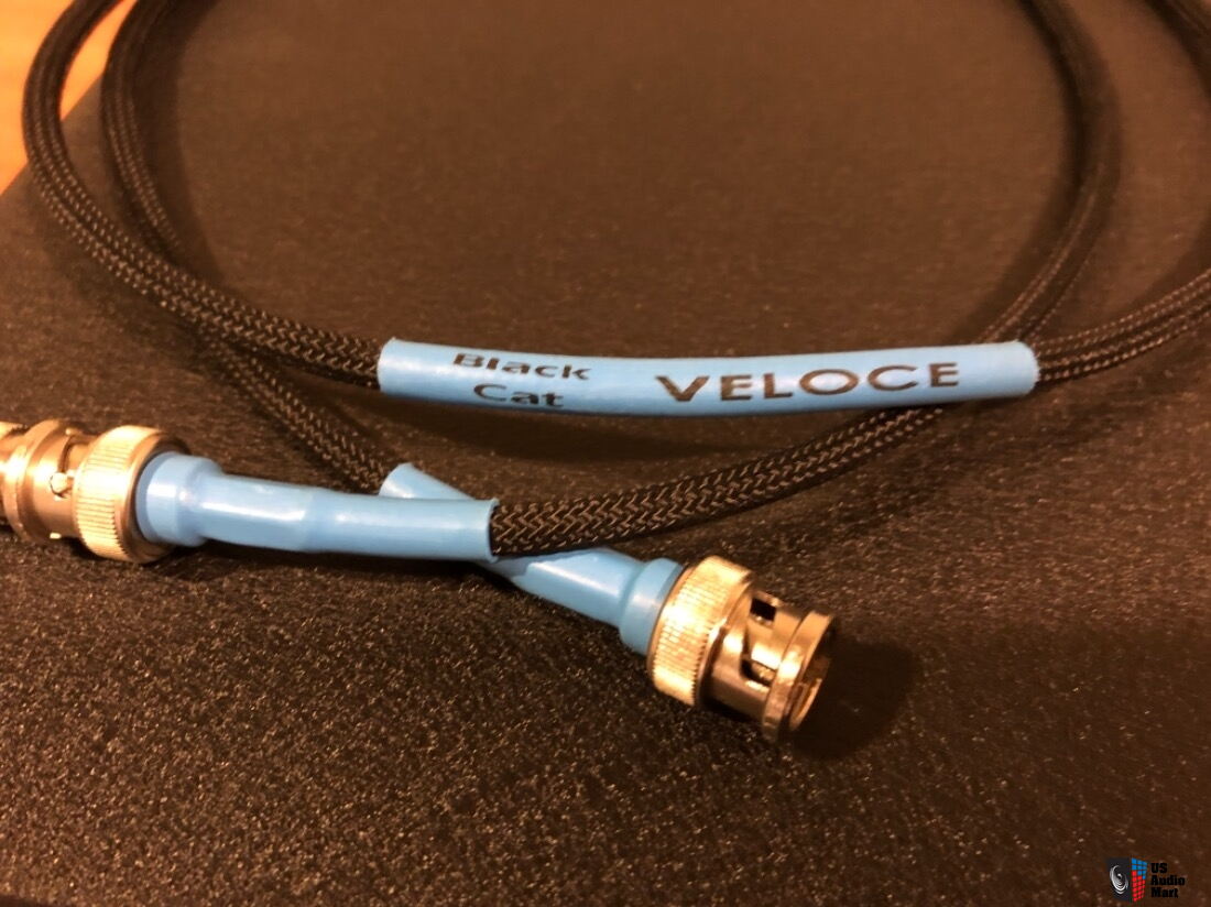 Black Cat Veloce BNC digital cable For Sale - Canuck Audio Mart