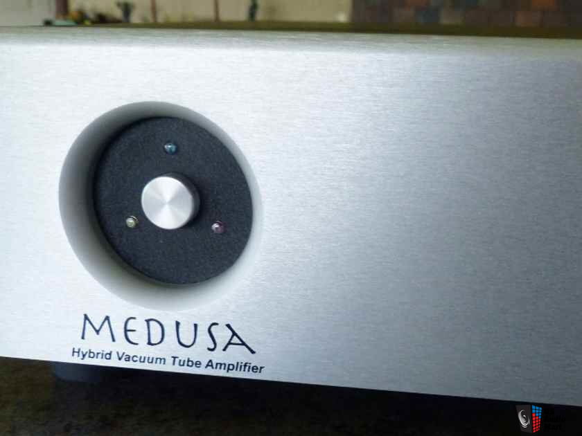 Rogue Audio Medusa hybrid amplifer Photo #2426575 - US Audio Mart