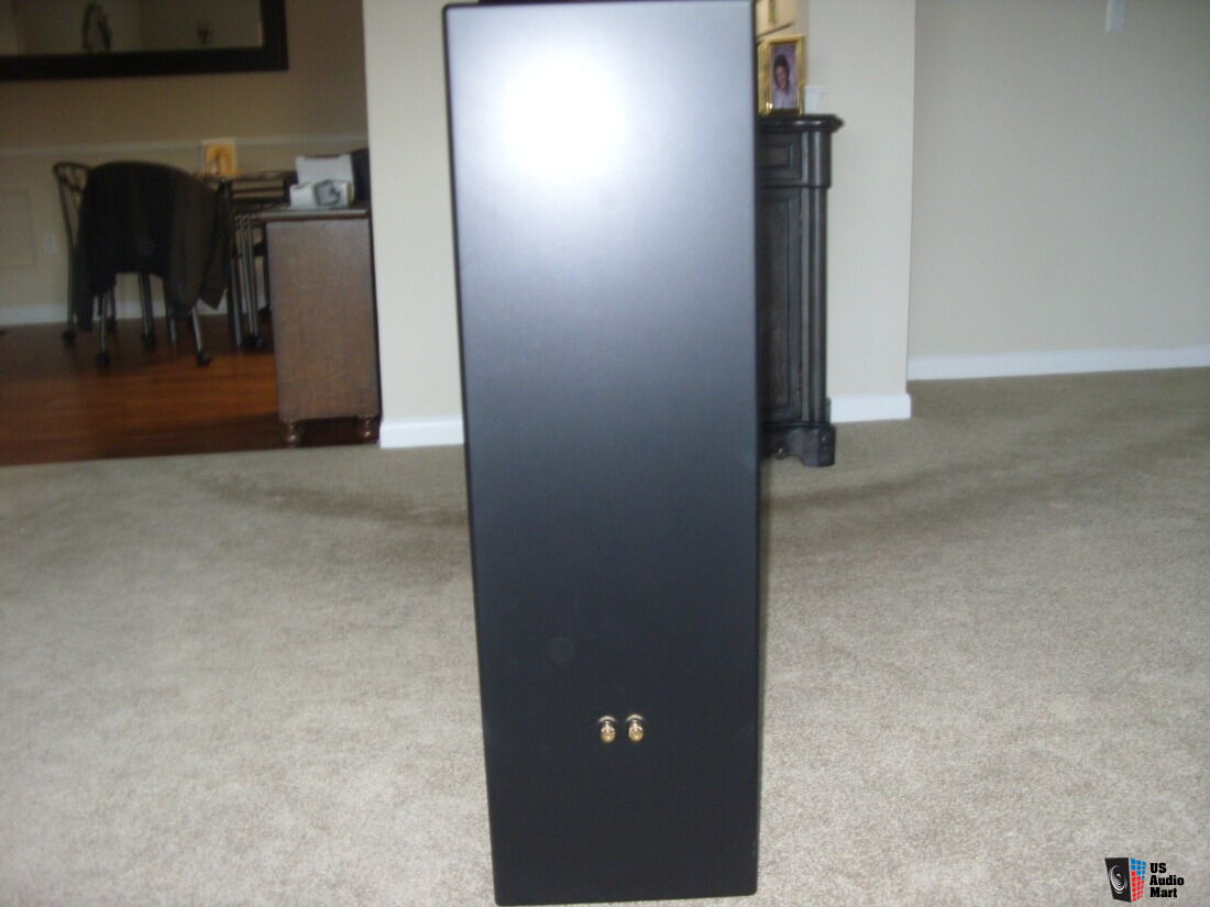 Tekton Lore Audiophile Tower Speakers ***MINT Photo #2445271 - US Audio ...