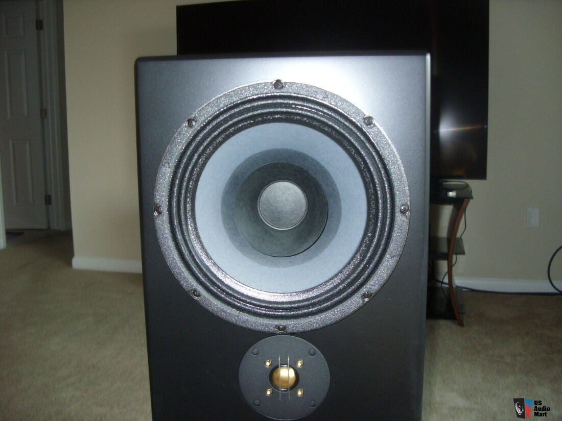 Tekton Lore Audiophile Tower Speakers ***MINT Photo #2445274 - UK Audio ...