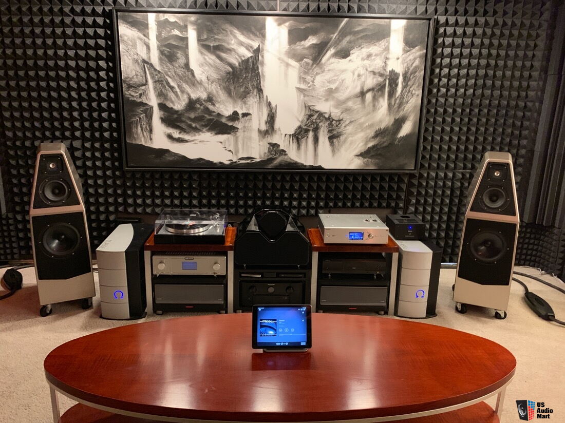 Classe Omega 500W monoblocks Photo #2478308 - US Audio Mart