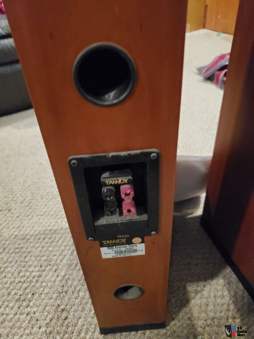 Tannoy D500 Floor Standing Speakers Photo #2481696 - US Audio Mart