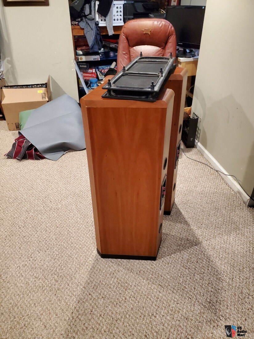 Tannoy D500 Floor Standing Speakers Photo #2481698 - US Audio Mart