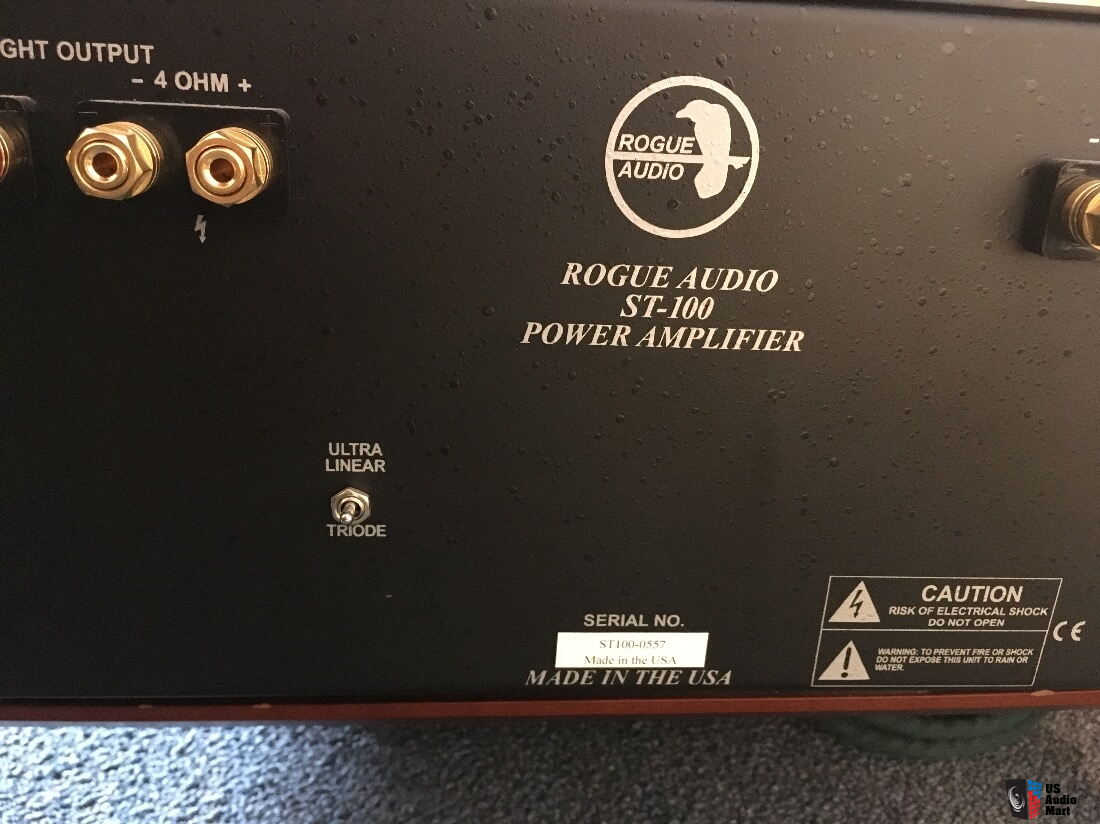 Rogue Audio Stereo 100 Photo #2488728 - US Audio Mart