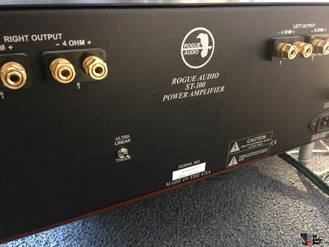 Rogue Audio Stereo 100 Photo #2488729 - US Audio Mart