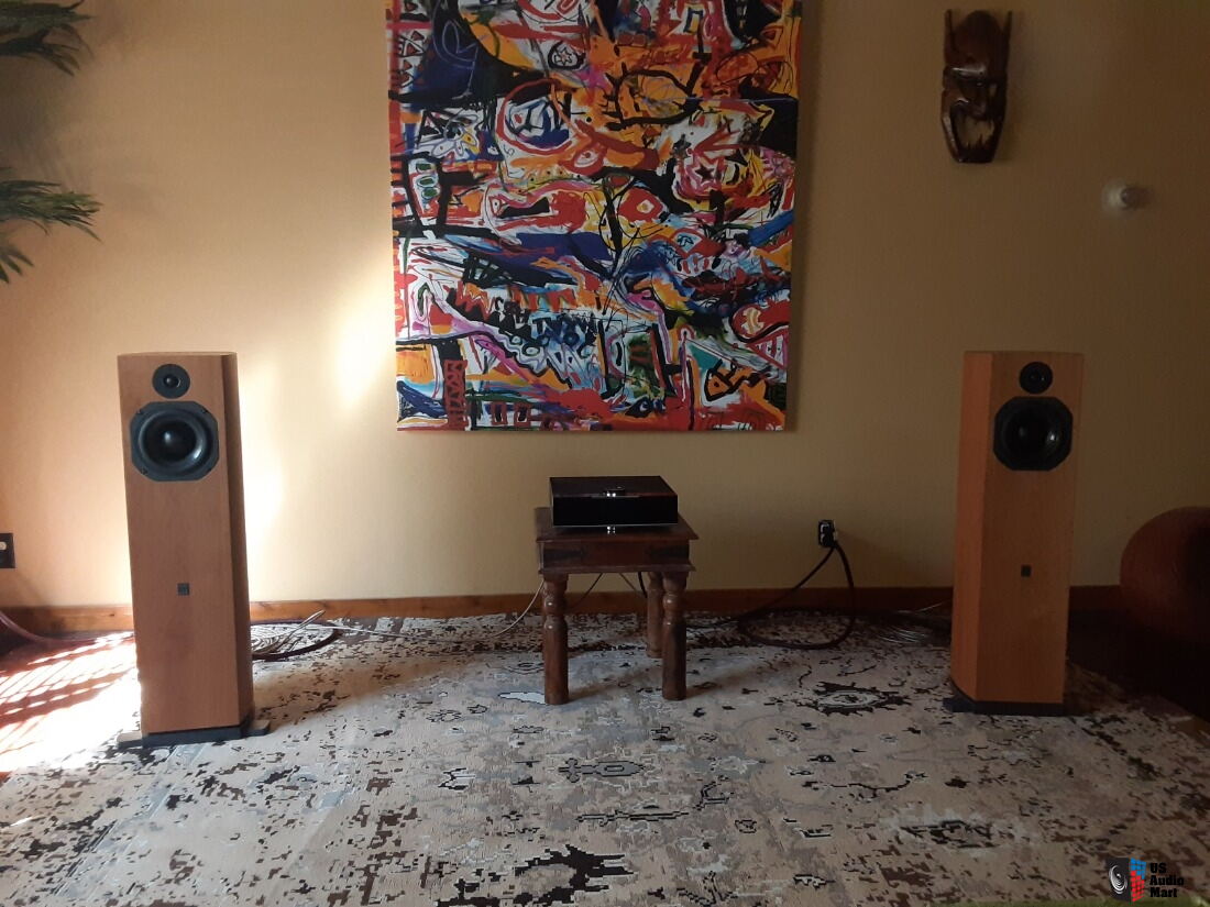 ATC SCM 19 Active towers Photo #2495264 - US Audio Mart