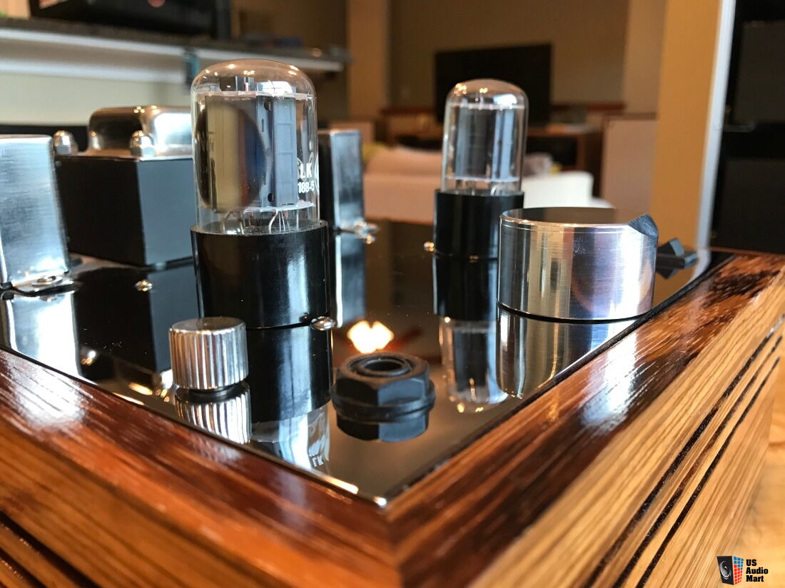 one of a kind bottlehead speaker/headphone amplifier Photo #2502442 ...