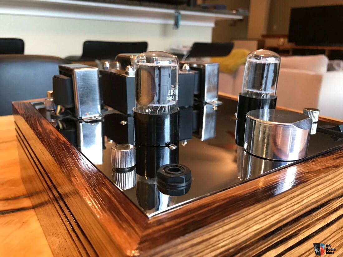 one of a kind bottlehead speaker/headphone amplifier Photo #2502443 ...
