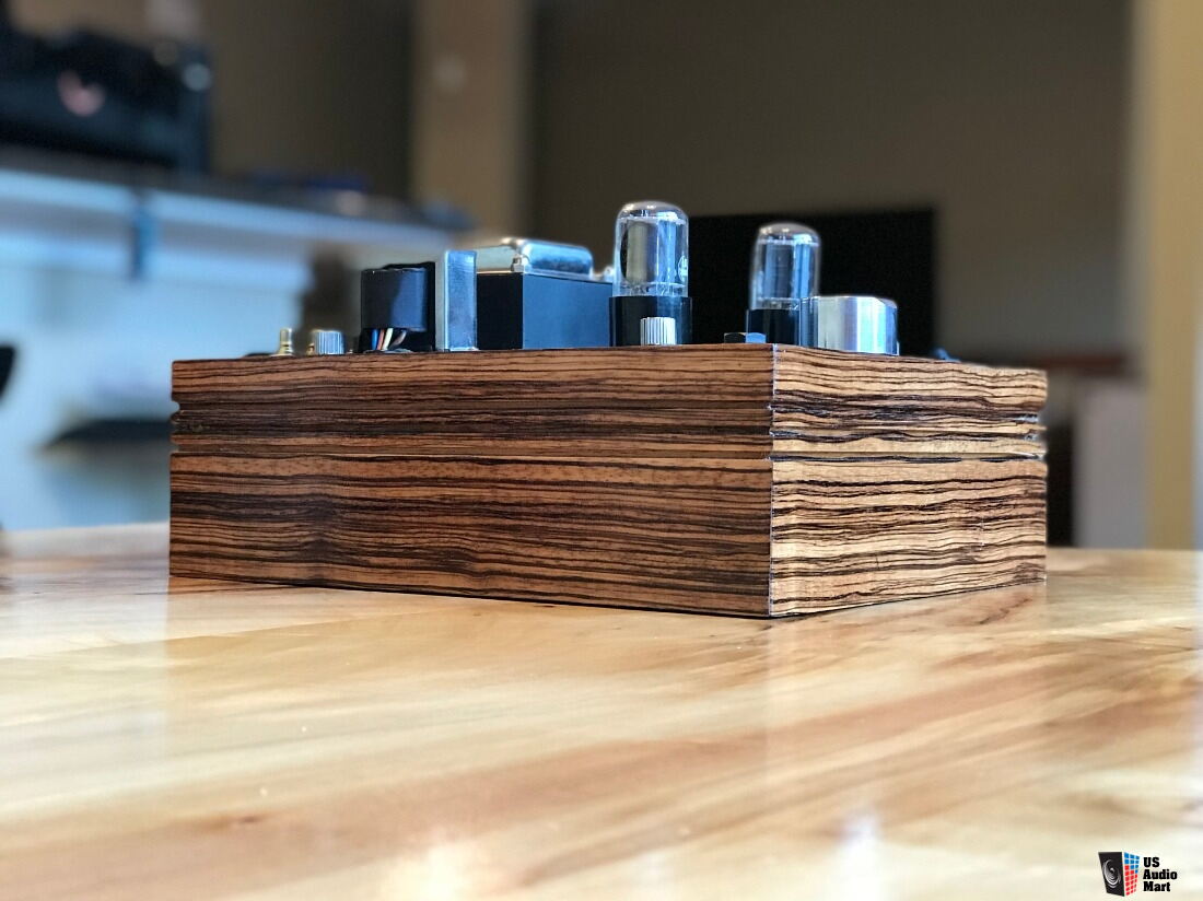 one of a kind bottlehead speaker/headphone amplifier Photo #2502444 ...