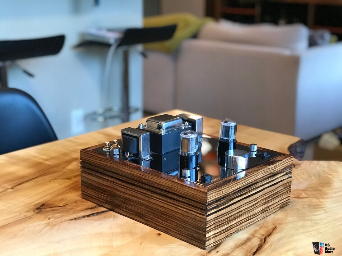 one of a kind bottlehead speaker/headphone amplifier Photo #2502446 ...