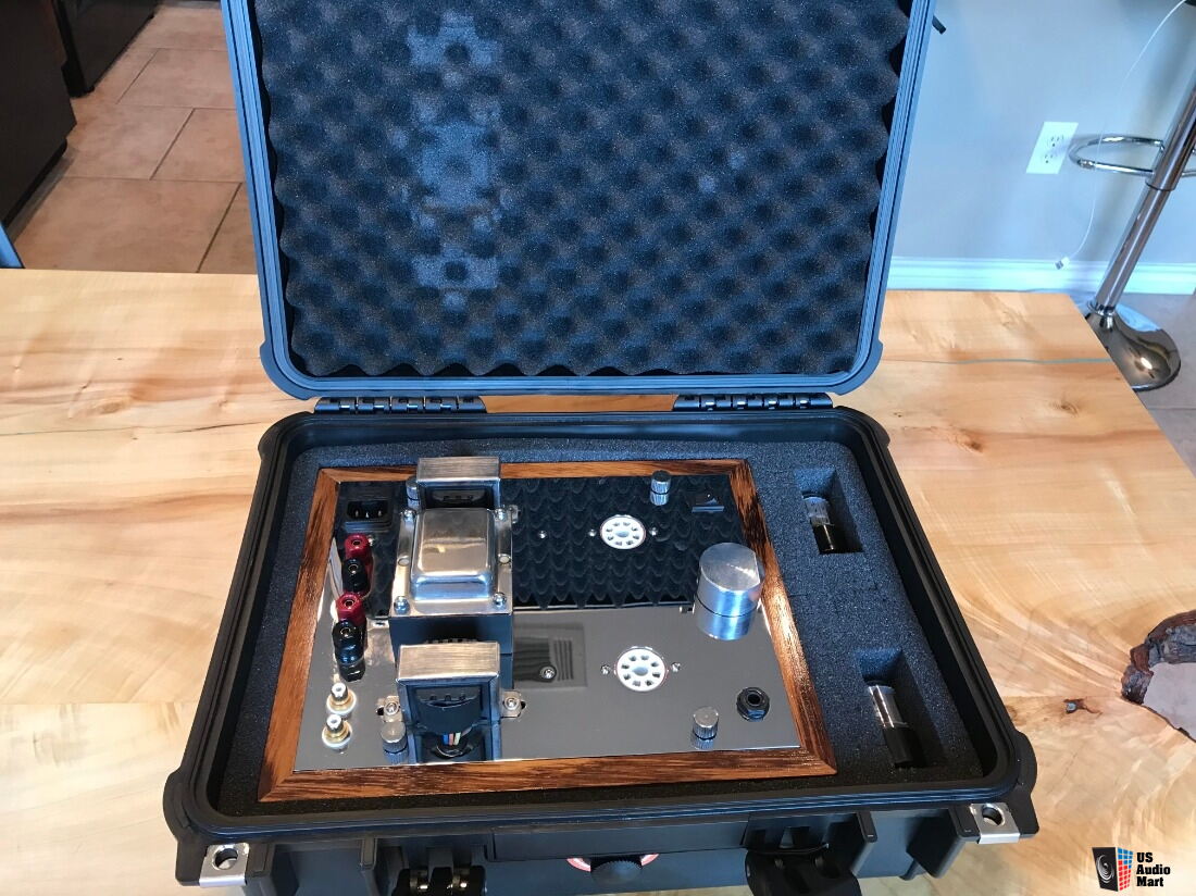 one of a kind bottlehead speaker/headphone amplifier Photo #2502447 ...