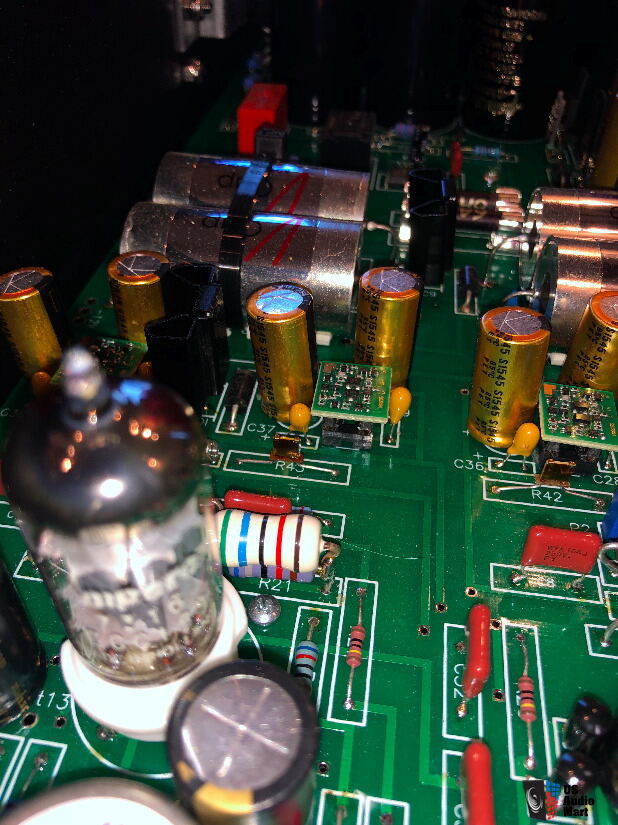 Rogue Audio Medusa MAXX Build Photo #2512230 - US Audio Mart