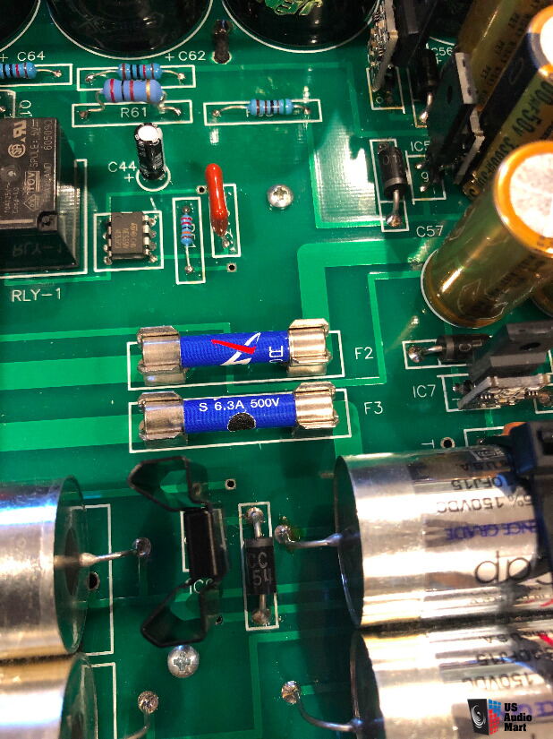 Rogue Audio Medusa MAXX Build Photo #2512234 - US Audio Mart