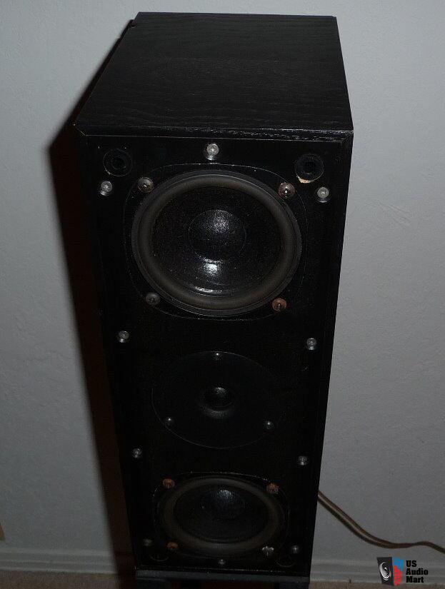 ProAc EBT Extended Bass Tablette black oak Speakers bookshelf Monitors ...