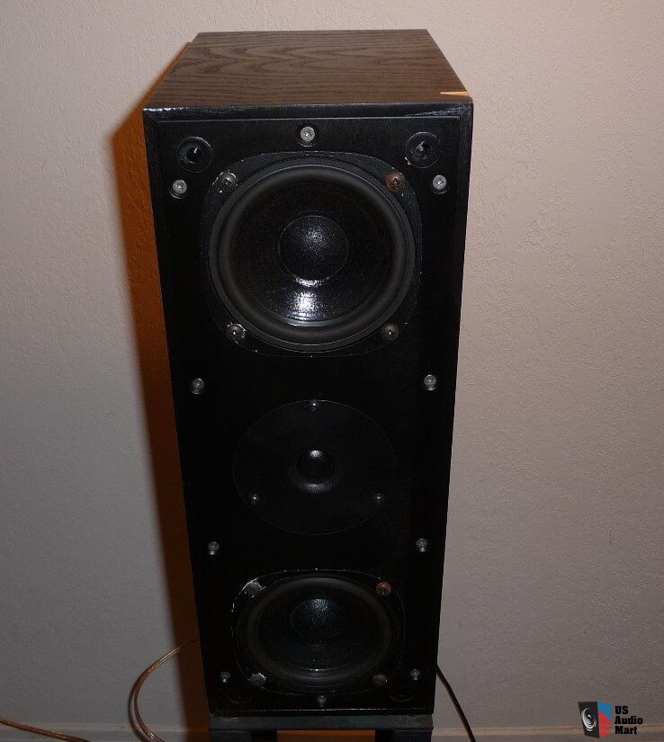 ProAc EBT Extended Bass Tablette black oak Speakers bookshelf Monitors ...