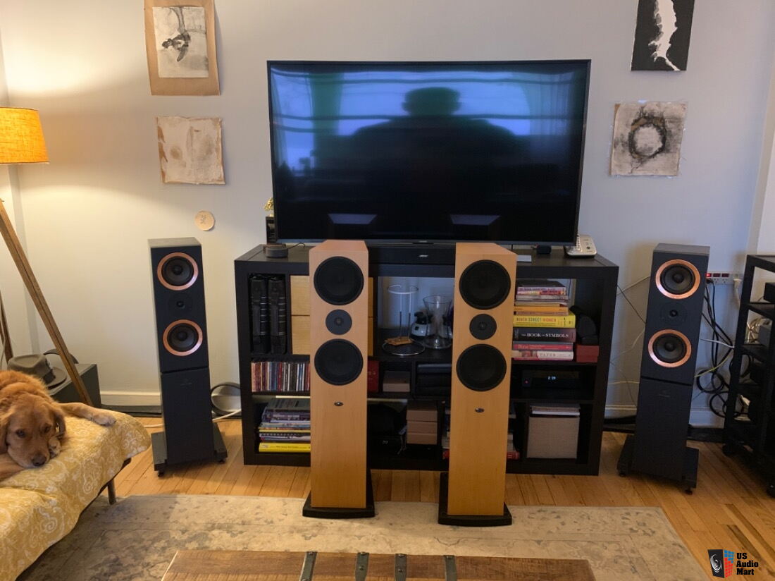 Linn Ninka with the rare Polymer bases Photo #2514222 - US Audio Mart