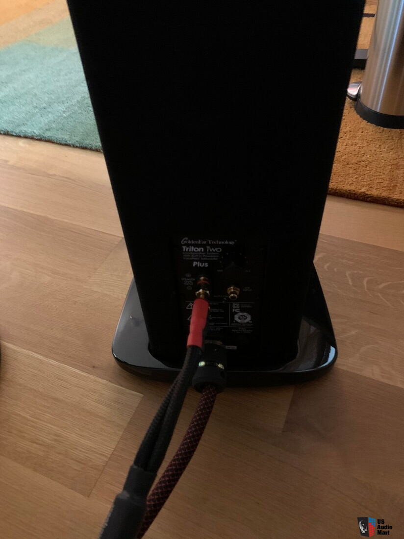 Goldenear Triton 2+ Speakers Photo #2516070 - US Audio Mart