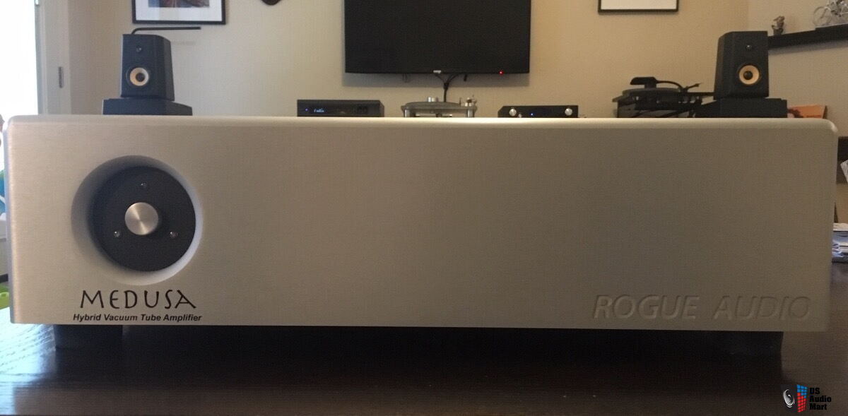Rogue Audio Medusa hybrid power amp Photo #2517516 - US Audio Mart