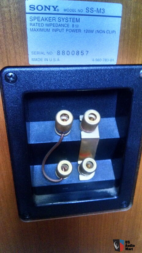 Sony SS-M3 speakers Photo #2532599 - Canuck Audio Mart