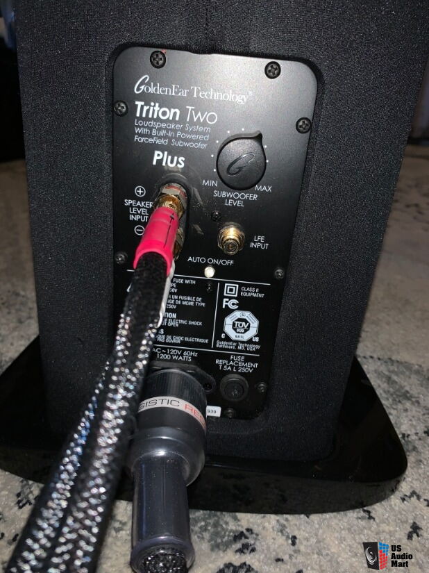 Goldenear Triton Two Plus Photo #2535188 - US Audio Mart