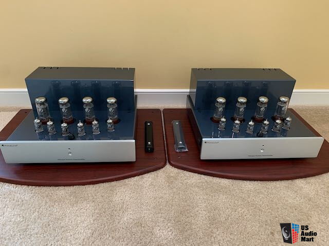 PrimaLuna Dialogue Premium Poweramps Photo #2545920 - US Audio Mart