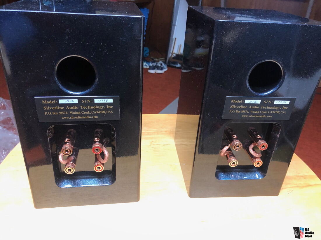 Silverline SR12 bookselve speaker Photo #2556195 - US Audio Mart