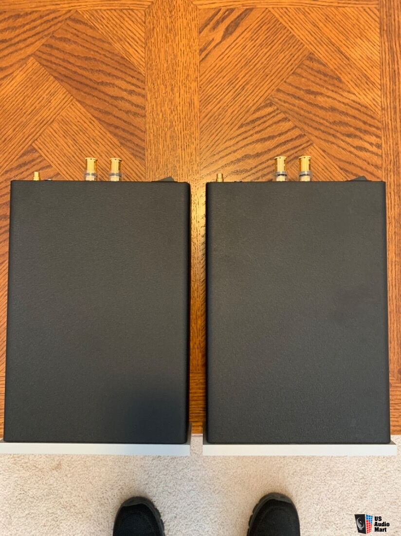 Bel Canto REF500M Monoblock amps Photo #2581569 - Aussie Audio Mart