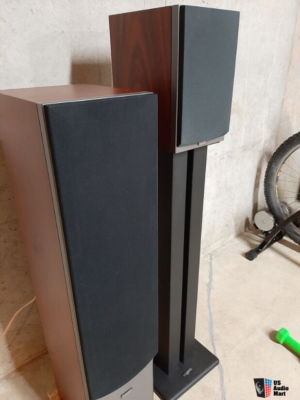 Dynaudio Audience 72 SE floor standing speaker with Audience 42 ...