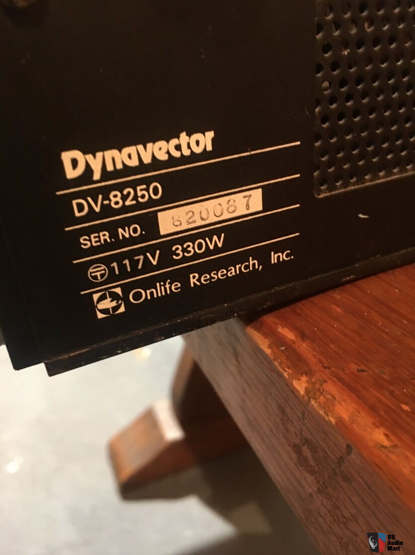 Dynavector DV 8250 tube power amp Photo #2595524 - US Audio Mart