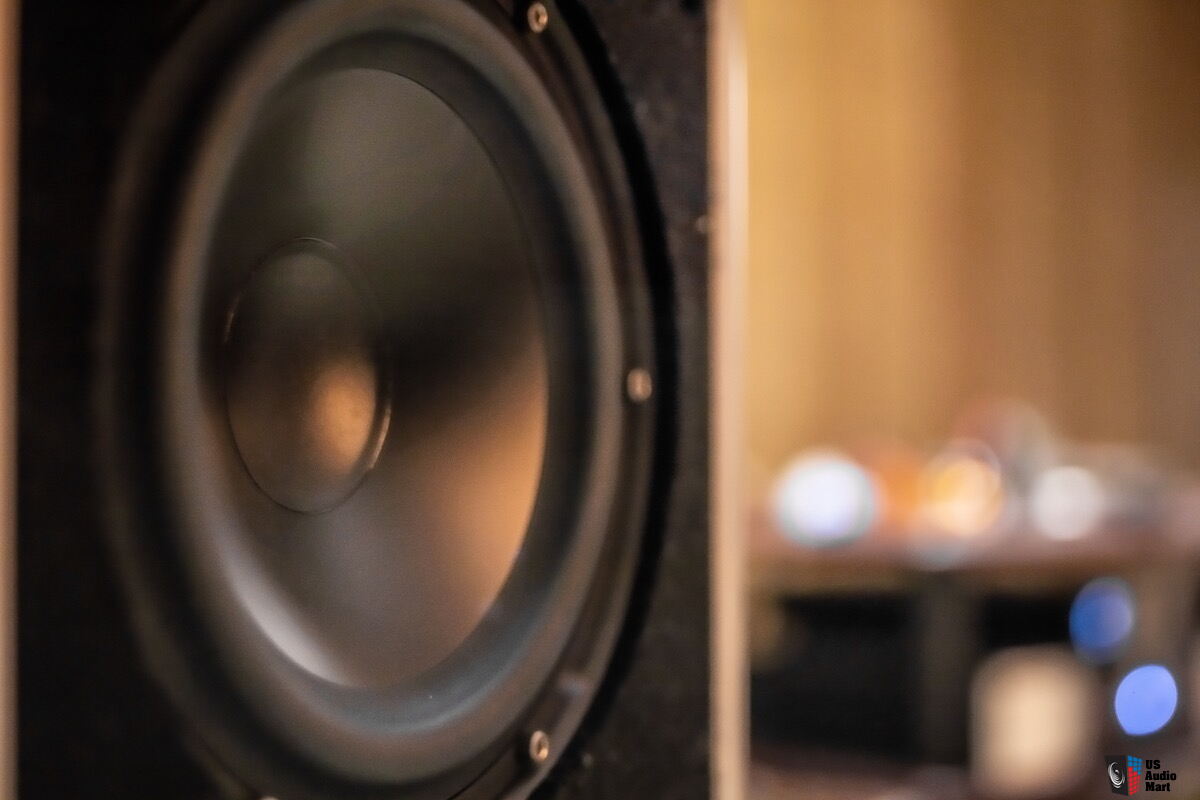 Wilson Audio Sasha 2 Photo #2604495 - US Audio Mart
