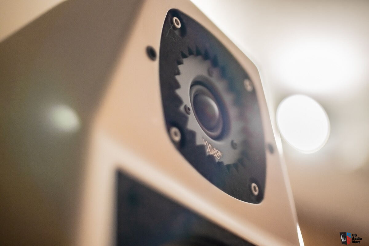 Wilson Audio Sasha 2 Photo #2604495 - US Audio Mart
