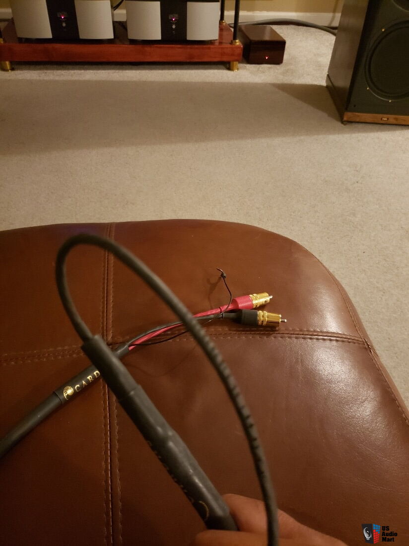 Cardas Golden Reference Tonearm Cable Photo #2599895 - US Audio Mart