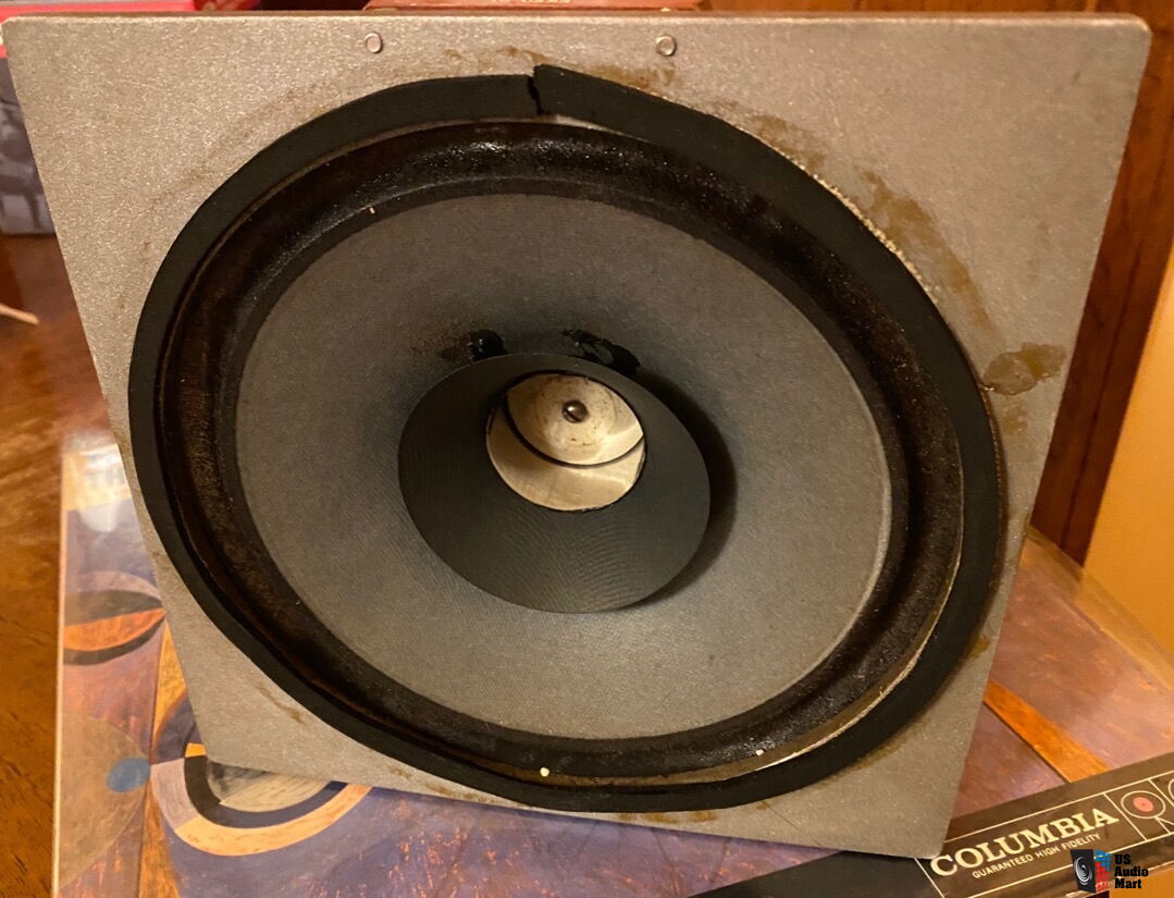 Lowther PM-2M Speaker 15 ohms Photo #2606577 - US Audio Mart