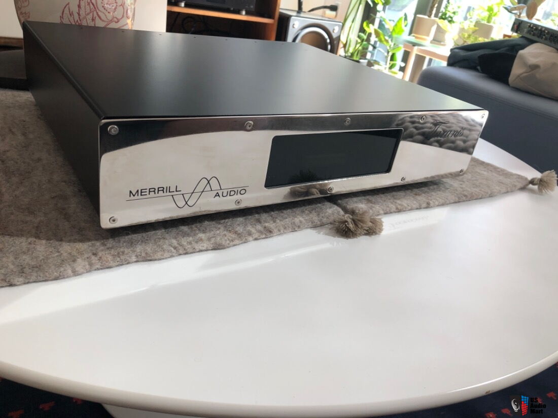 Merrill Audio Taranis Power Amplifier Photo #2611091 - US Audio Mart