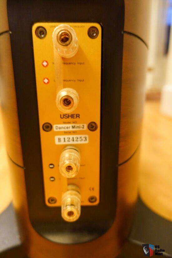 Usher Mini Dancer 2 Photo #2614097 - US Audio Mart