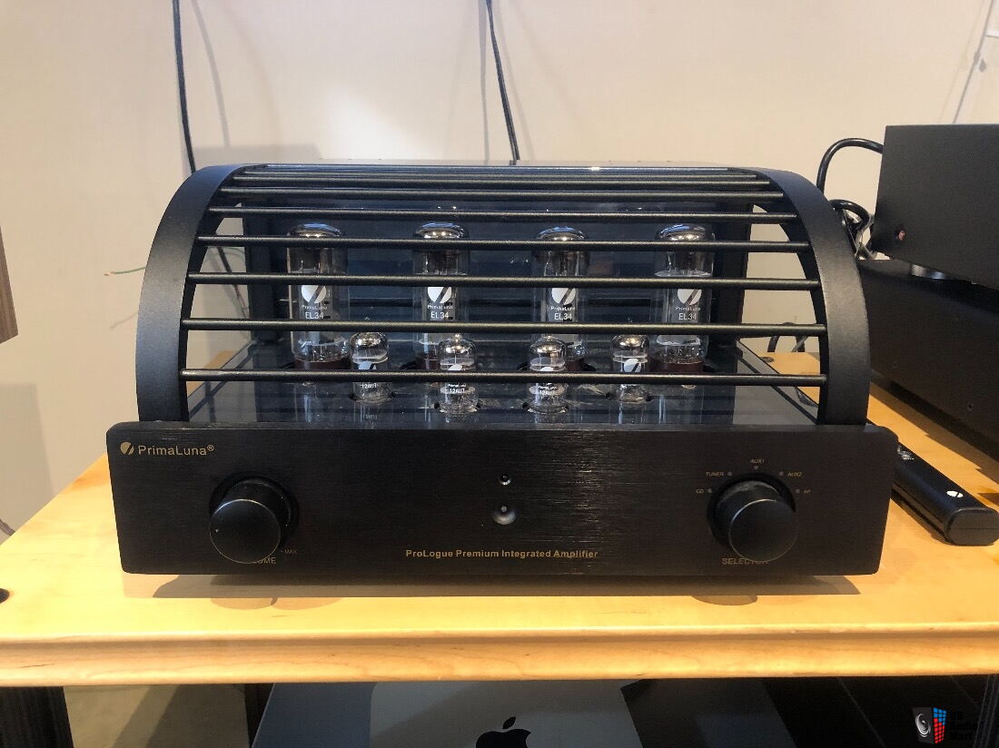 Prima Luna Prologue Premium Integrated Amplifier Photo #2616250 - US ...