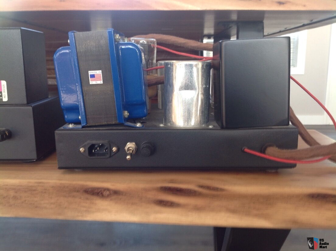 Tube Audio Lab 300B amp Photo #2635577 - US Audio Mart