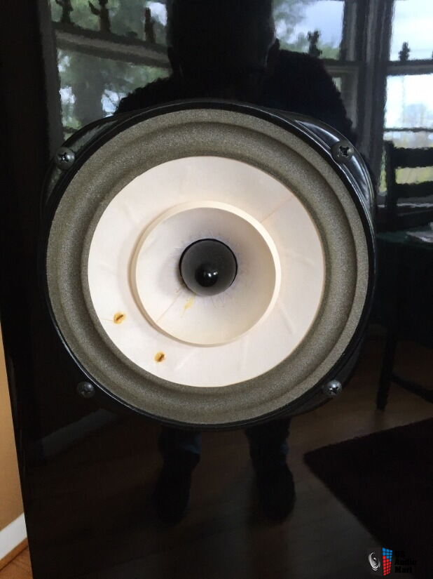 Open baffle Lowther DX-3 floor standing speakers Photo #2690212 - US ...