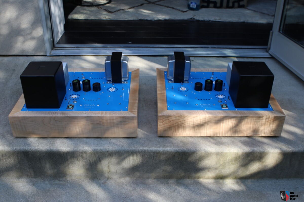 Custom Donald North Audio 50 Tube Monoblocks - One of a Kind! Photo ...
