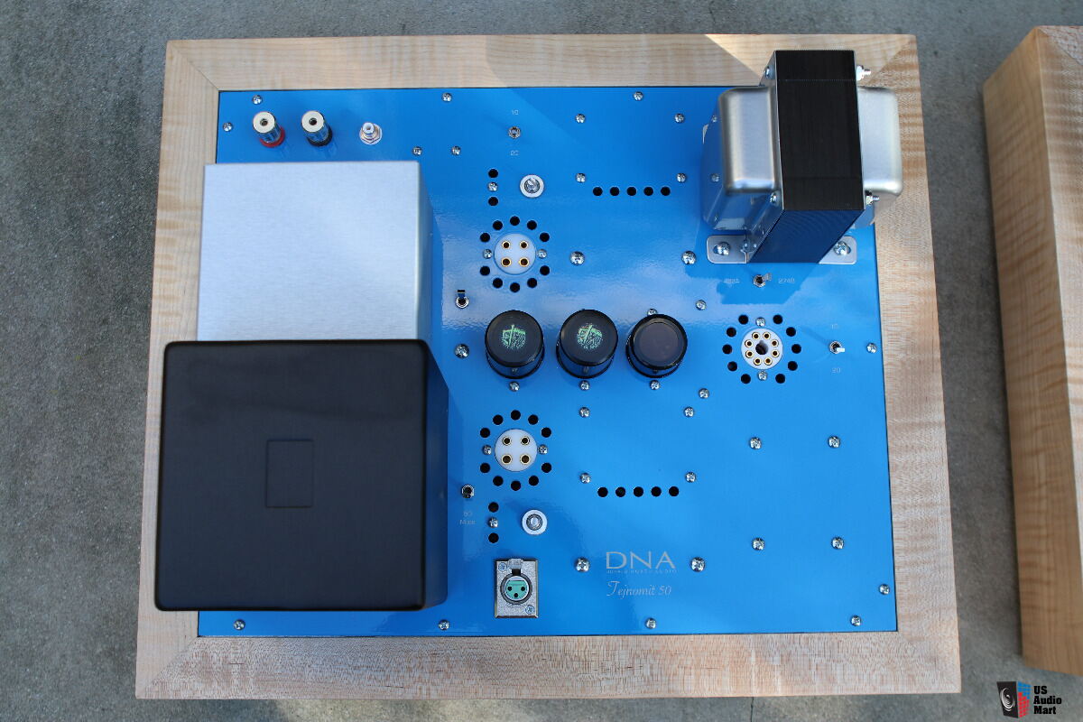 Custom Donald North Audio 50 Tube Monoblocks - BIG PRICE REDUCTION ...