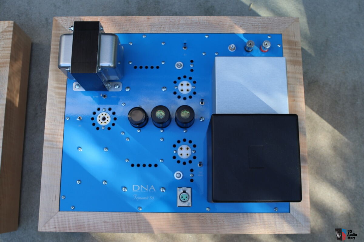 Custom Donald North Audio 50 Tube Monoblocks - BIG PRICE REDUCTION ...